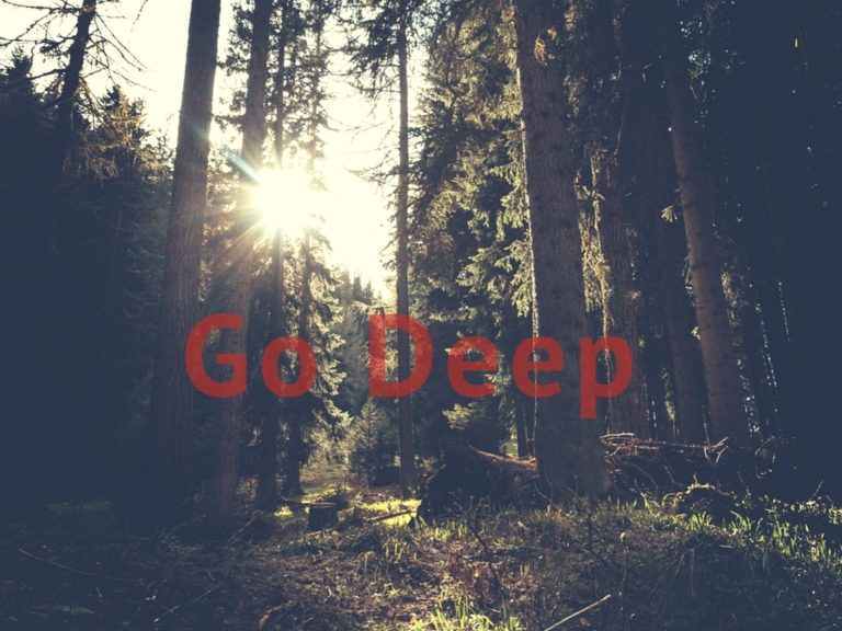 oyh-banner - Megan Spencer