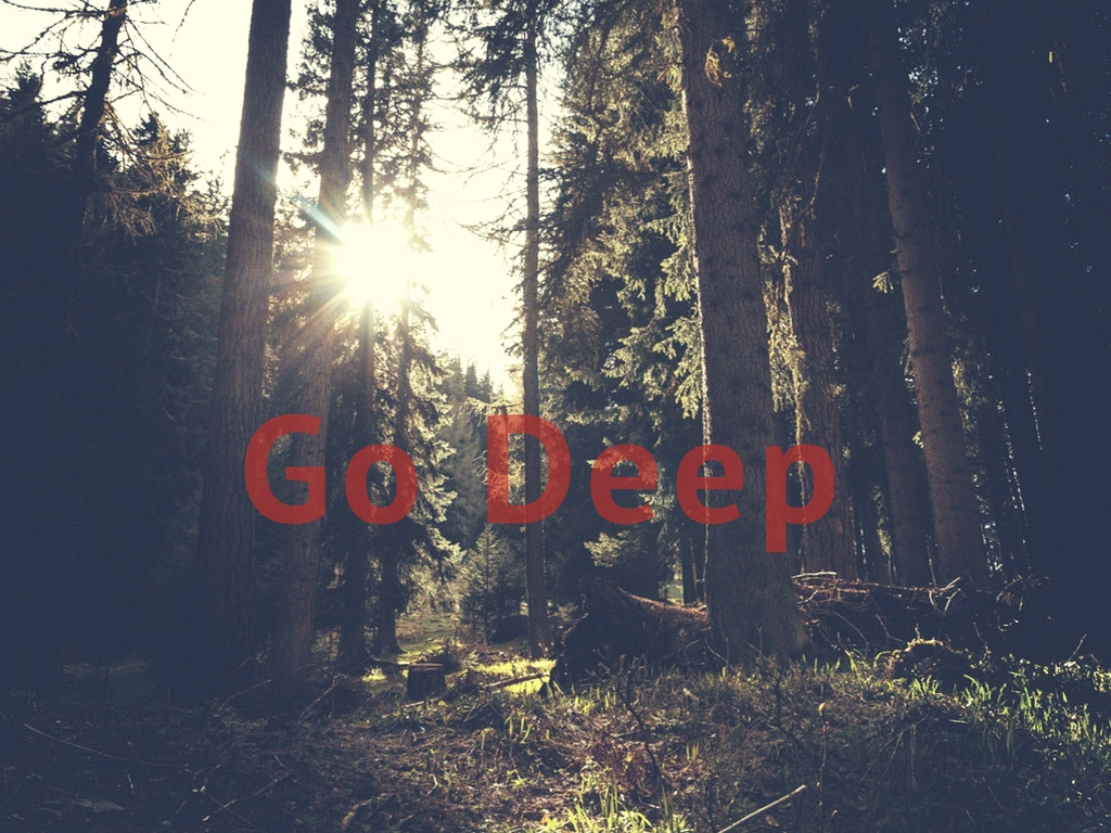 oyh-banner - Megan Spencer